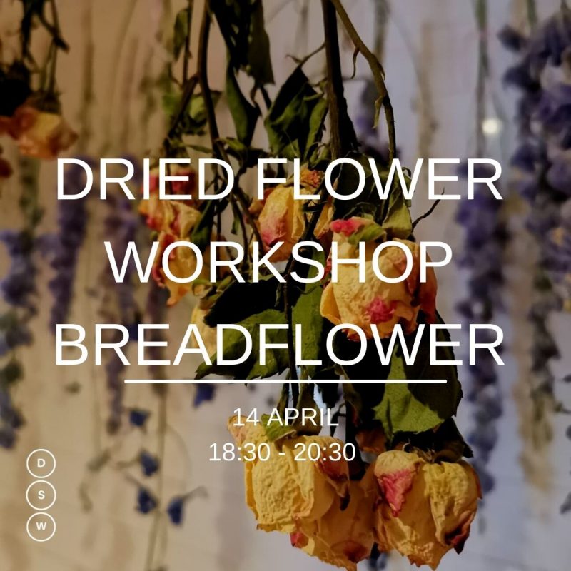Breadflower Dried Flowers Workshop - Ducie Street Warehouse