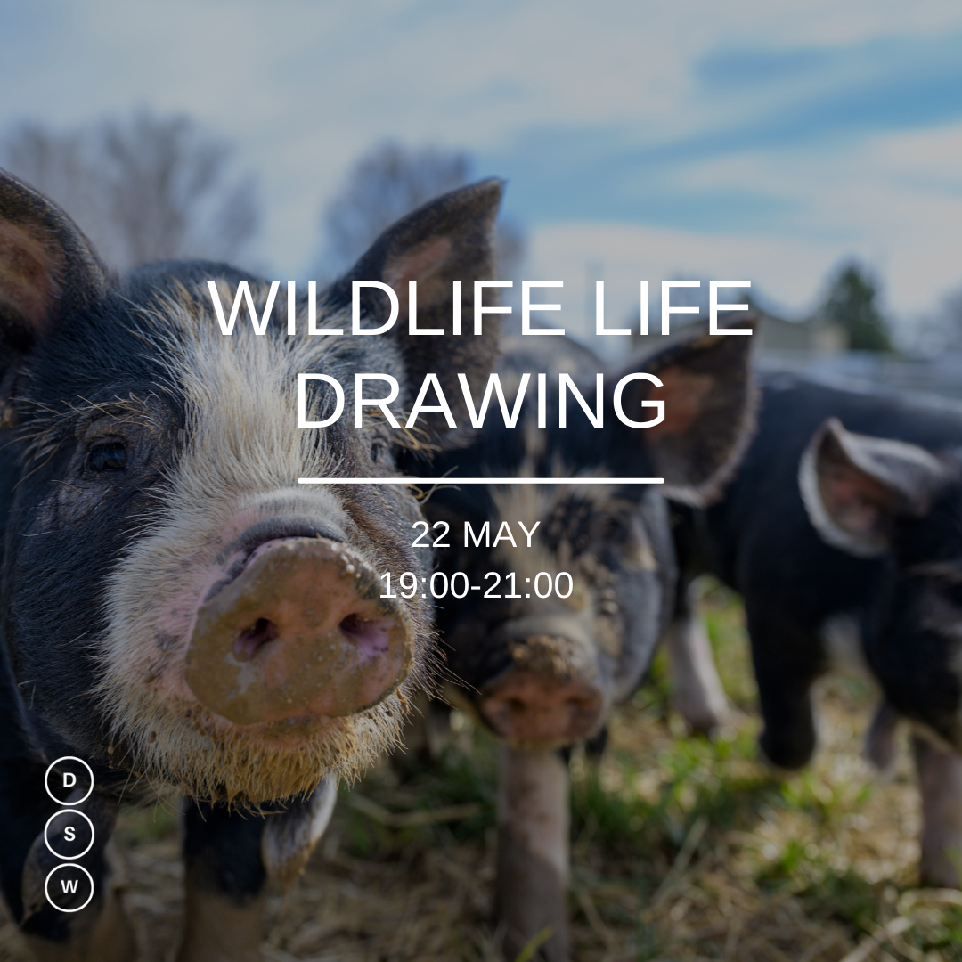 Wildlife Life Drawing Workshop - Ducie Street Warehouse