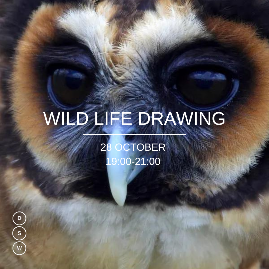 Wild Life Drawing - Ducie Street Warehouse